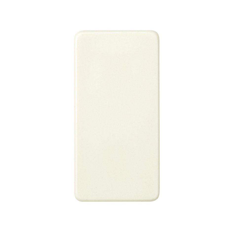 Single-pole switch 10AX 250V~ for half element with fast terminal ...