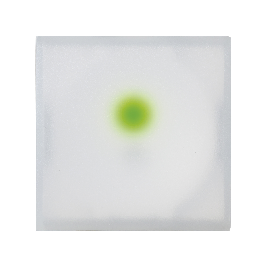 Stand-alone emergency light with LED status indicator | SIMON