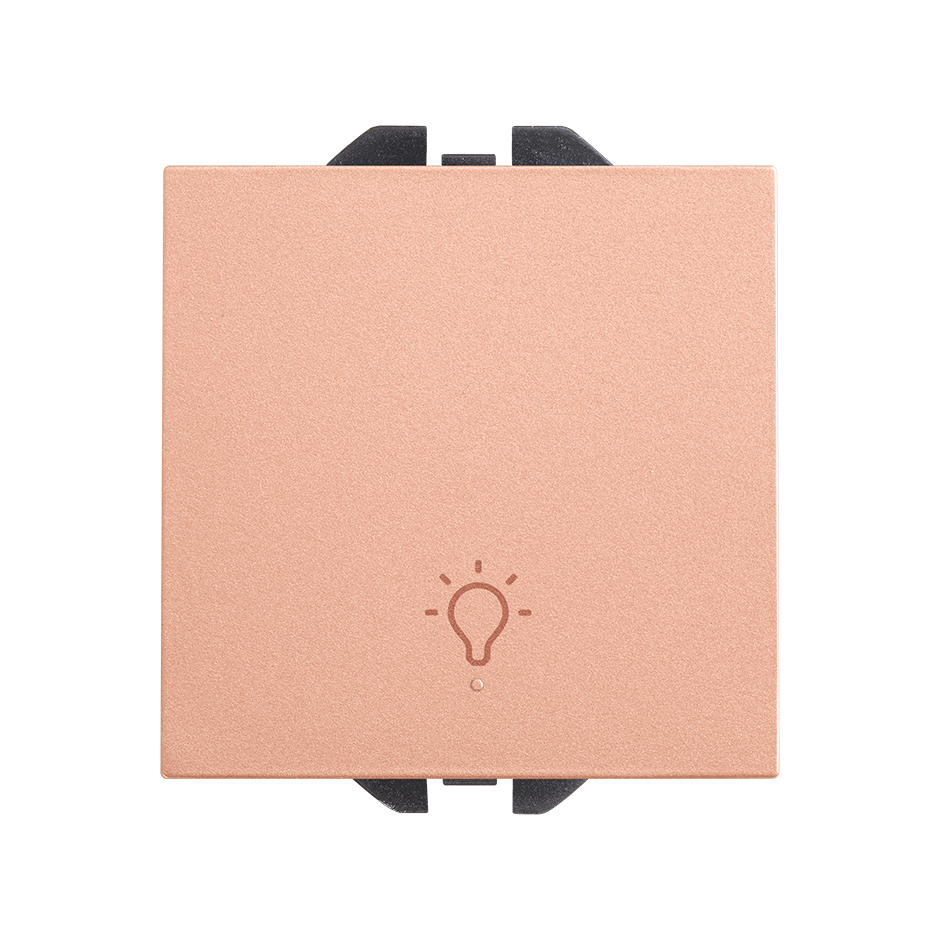 Push-button switch with light symbol 10A 230V~ and fast terminal ...