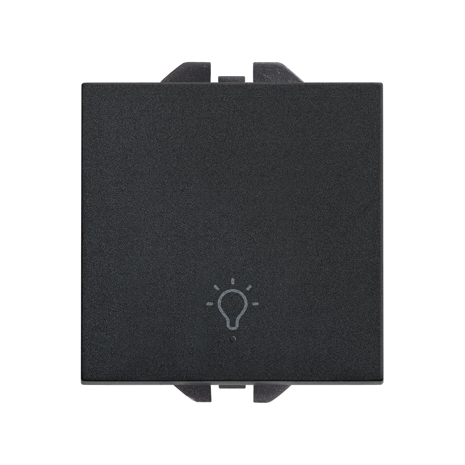 Push-button switch with light symbol 10A 230V~ and fast terminal ...