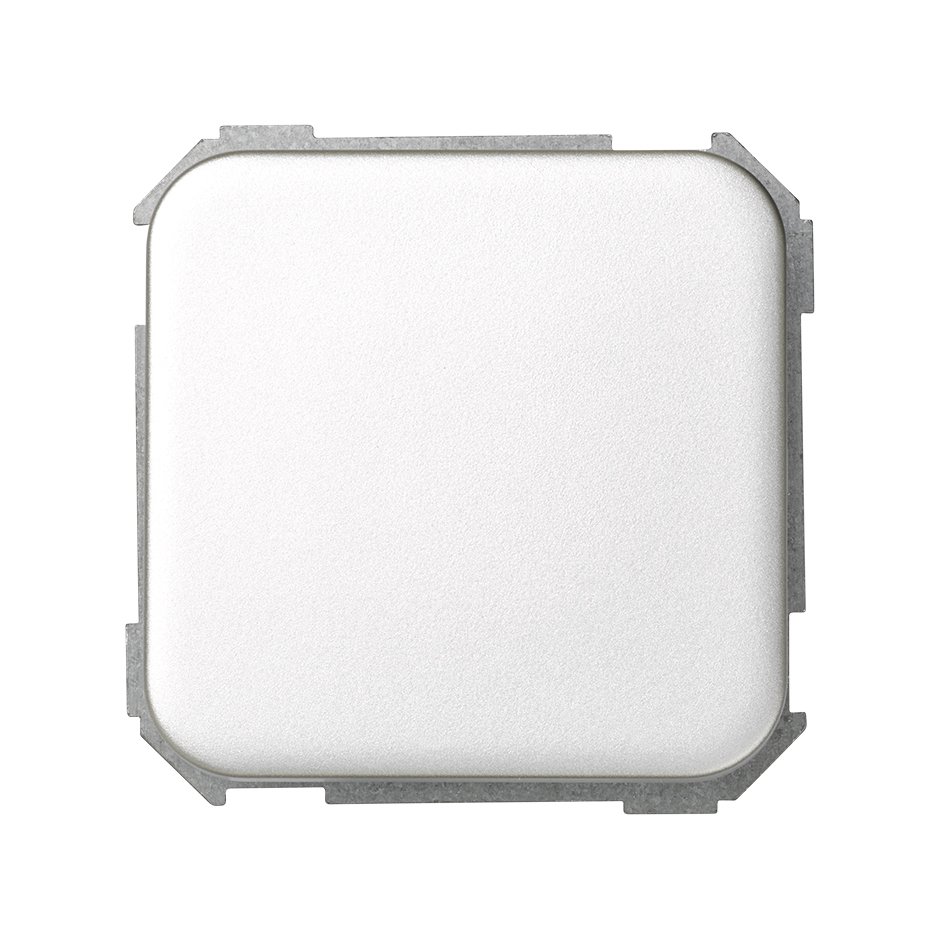 Single-pole switch 10AX 250V~ with fast terminal connection system ...