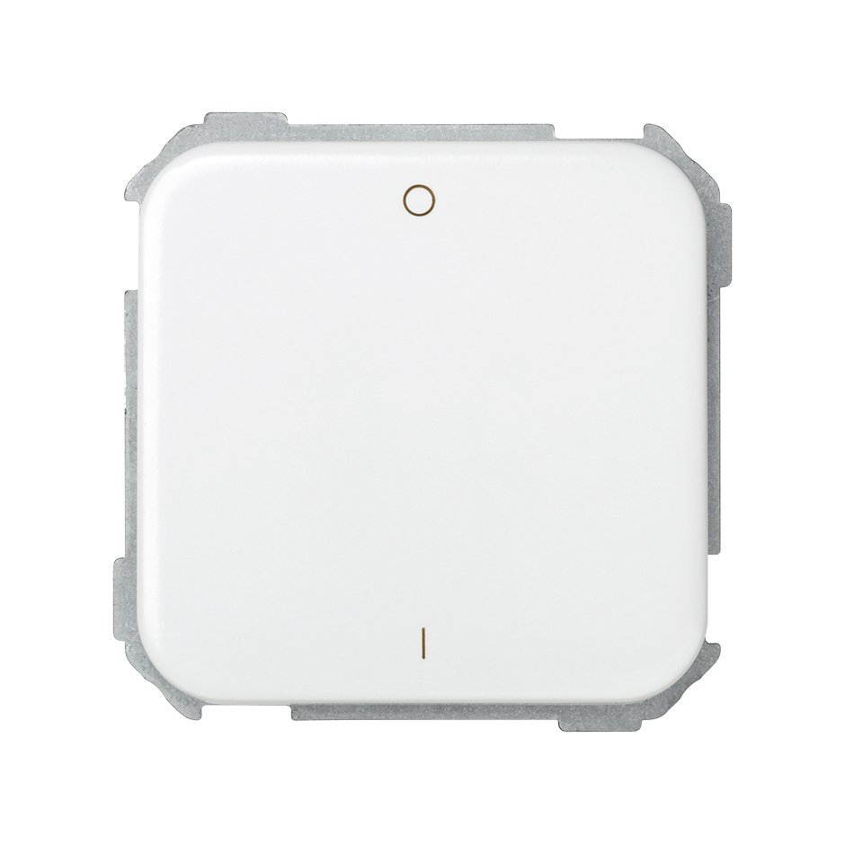 Double-pole switch 16AX 250V~ with screw terminal connection system ...