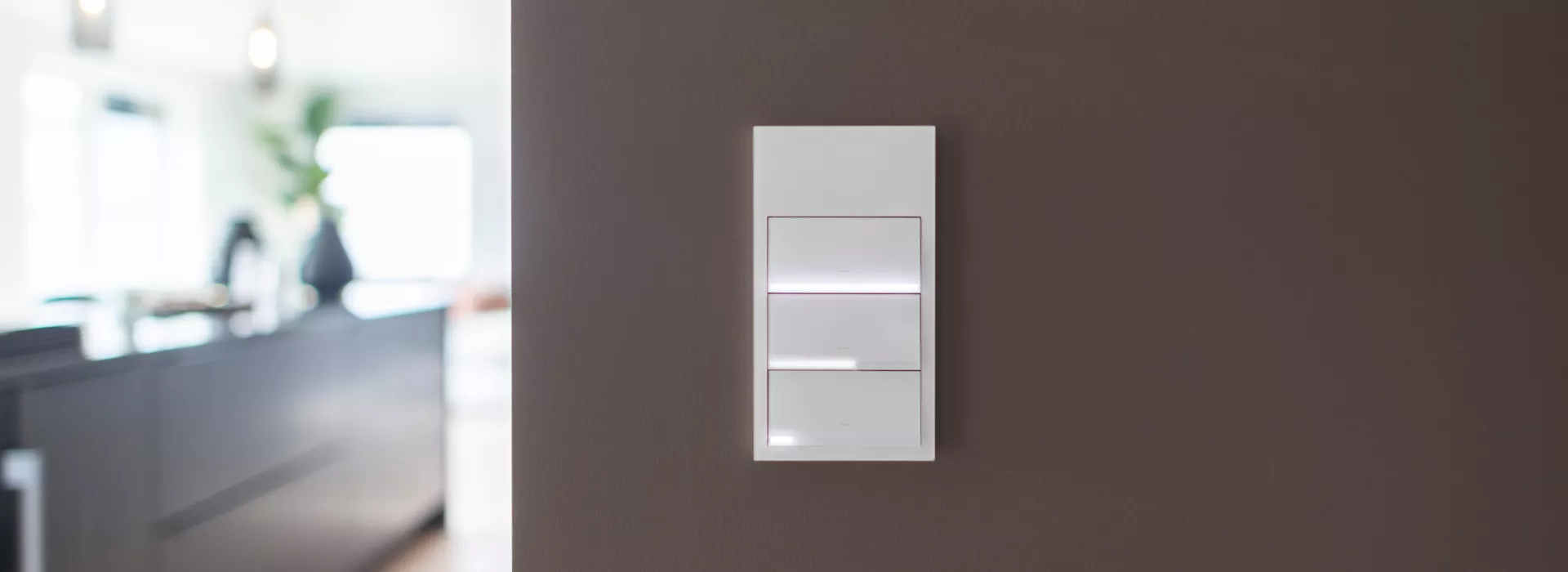 Interruptores regulables Simon 100 | SIMON