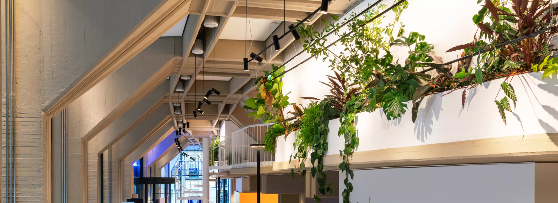 Entrevista a Beatriz Borque: “Para mí, la función del paisajismo es ser ...