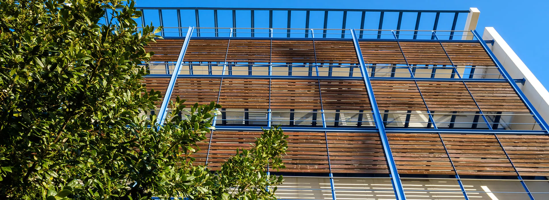 Biohabitabilidad: las claves para una vivienda saludable | SIMON