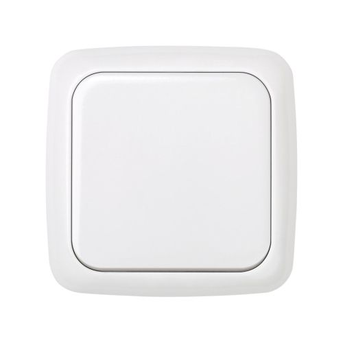 Single-pole switch 10AX 250V~ with fast terminal connection system ...